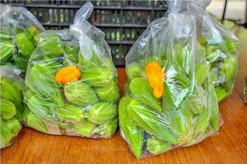 Interes pa Mercado Santa Rosa: Tur bendedo mester cumpli cu rekisito pa ...