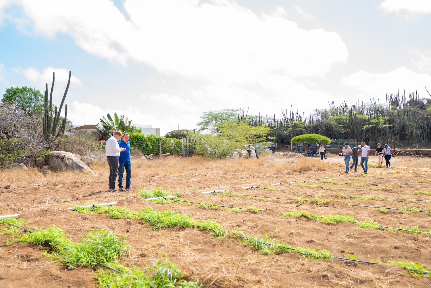 Plantacion di patia y produccion di honing local: Aportando n’un futuro ...